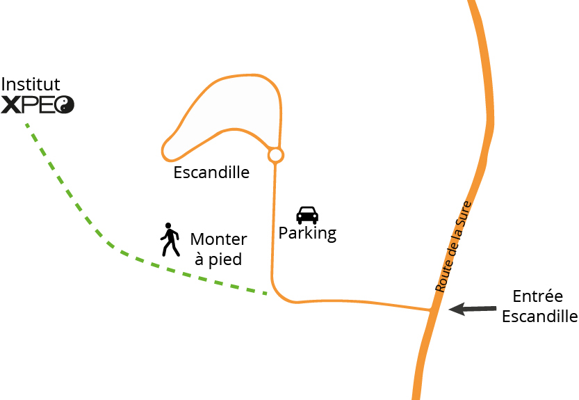 Institut XPEO | Conscience corporelle et énergie vitale